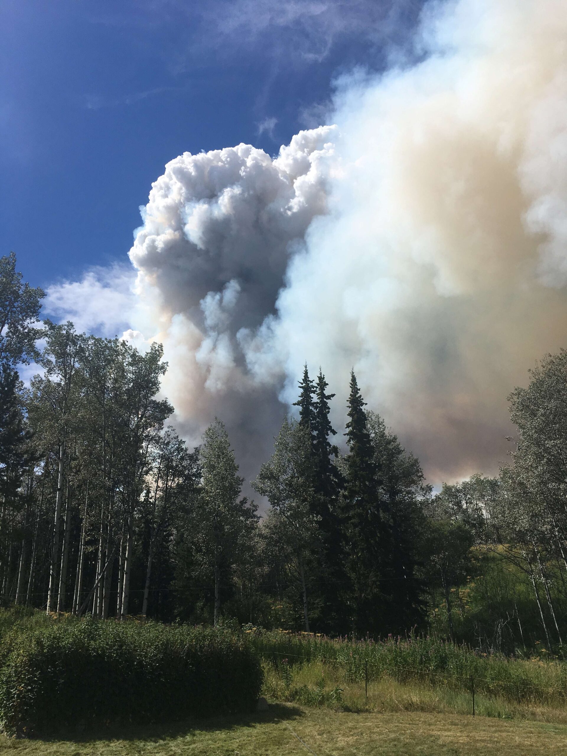 News and Events | Chinook Emergency Response Society